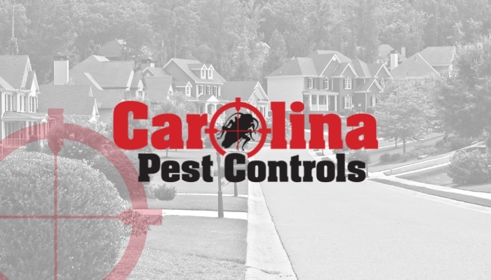About Carolina Pest Controls | Lexington, SC